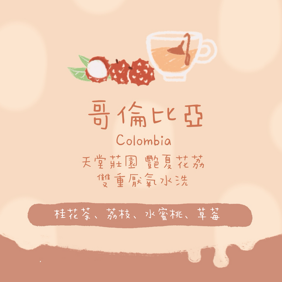 精選優惠咖啡豆 I 掛耳包 - 小鯨咖啡 Little Whale Coffee – Little Whale Coffee Limited