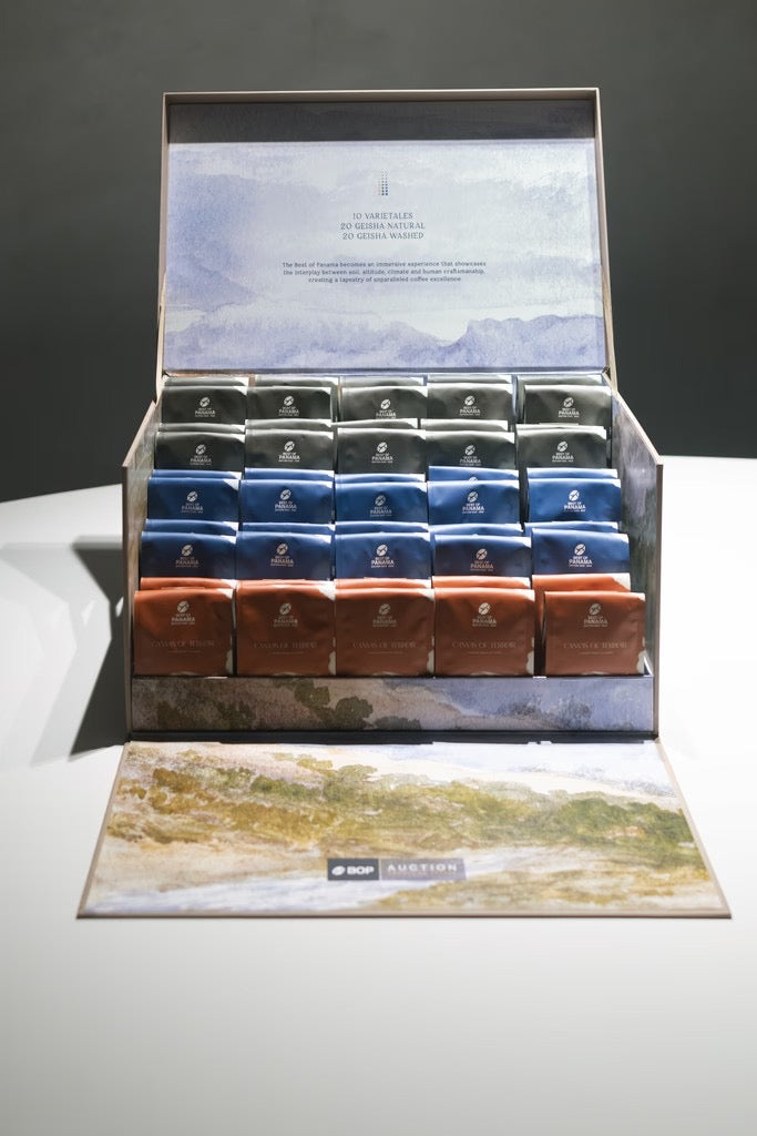 藝妓Geisha專區 – Little Whale Coffee Limited